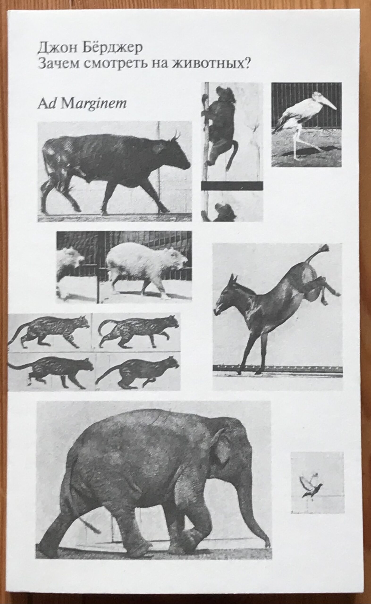 Why Look at Animals? - John Berger home